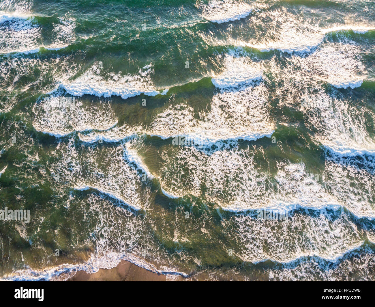 Aerial view of crashing wave in ocean with warm sunset light. Top view ...