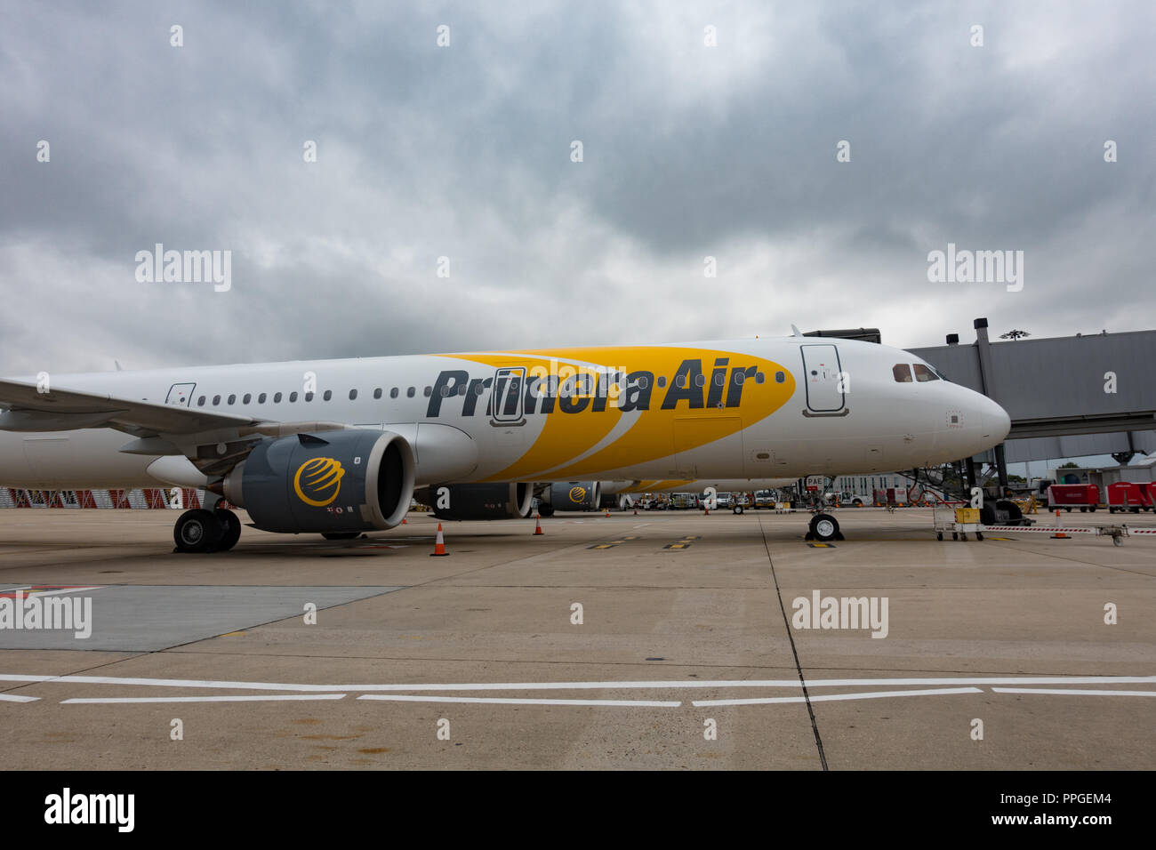 Primera hi-res stock photography and images - Alamy