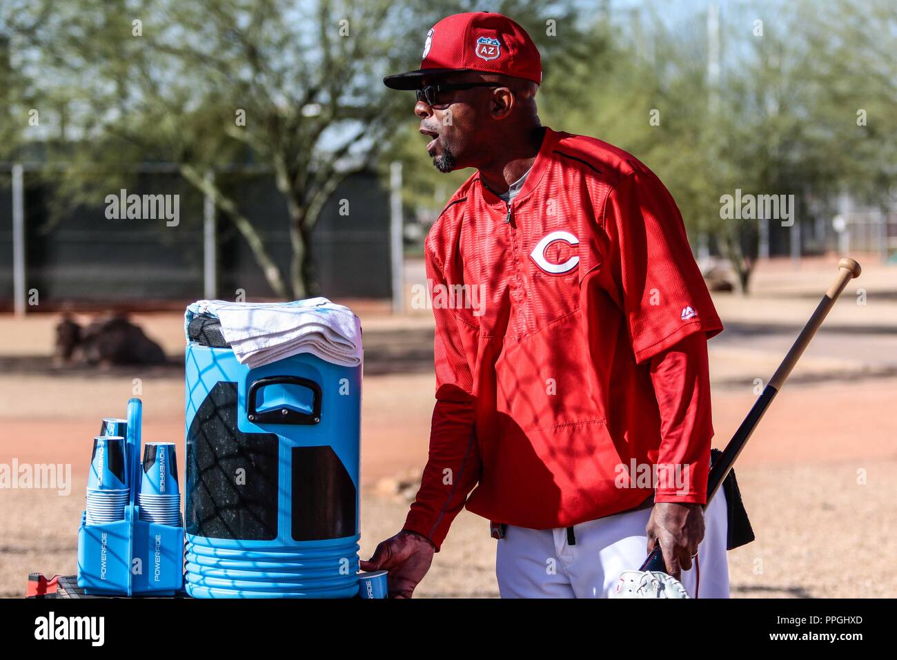 Delino Deshields, Coach, durante entrenamiento de los Rojos de ...