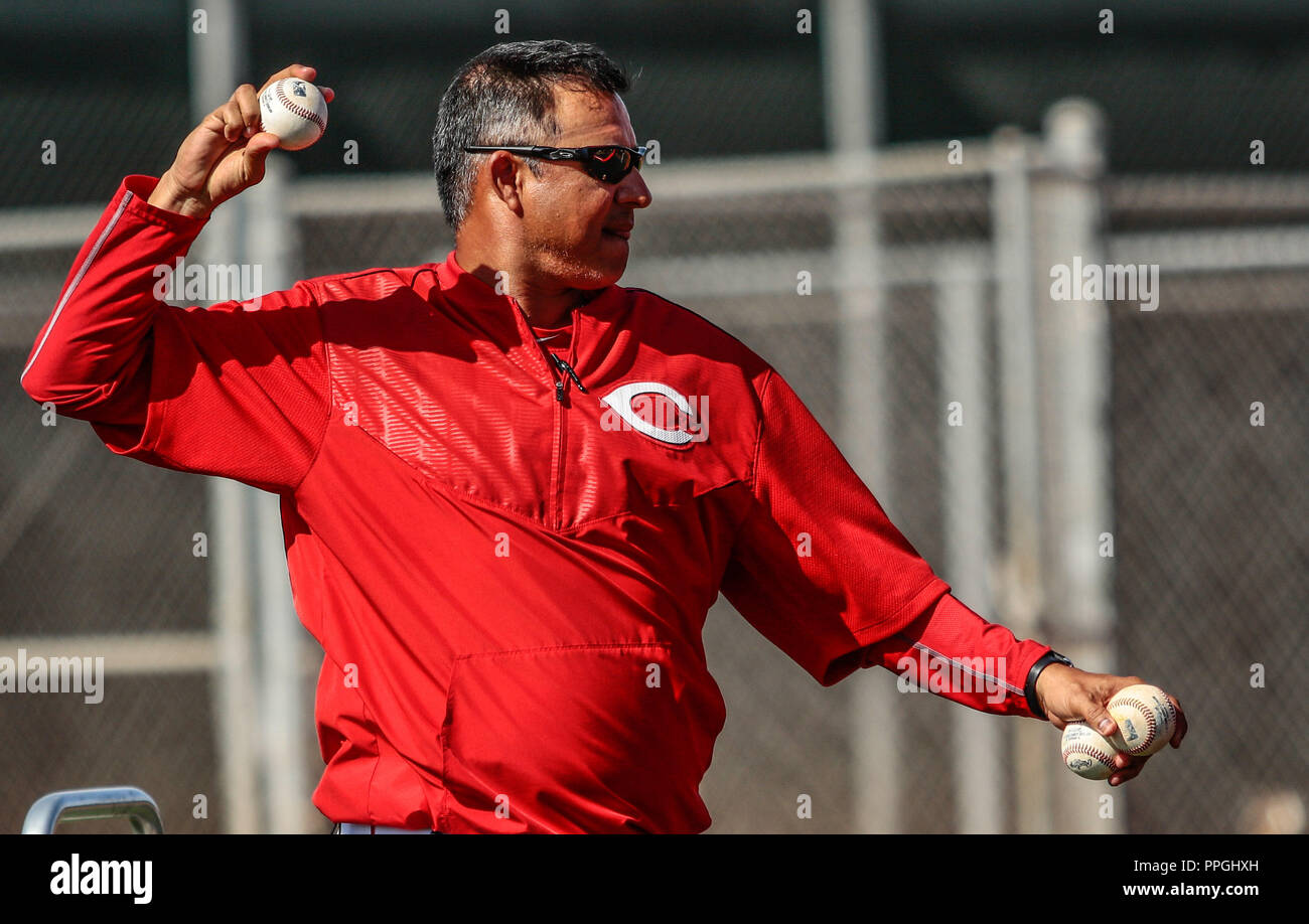Elmer Dessens, Coachde pitcheo , durante entrenamiento de los Rojos de ...