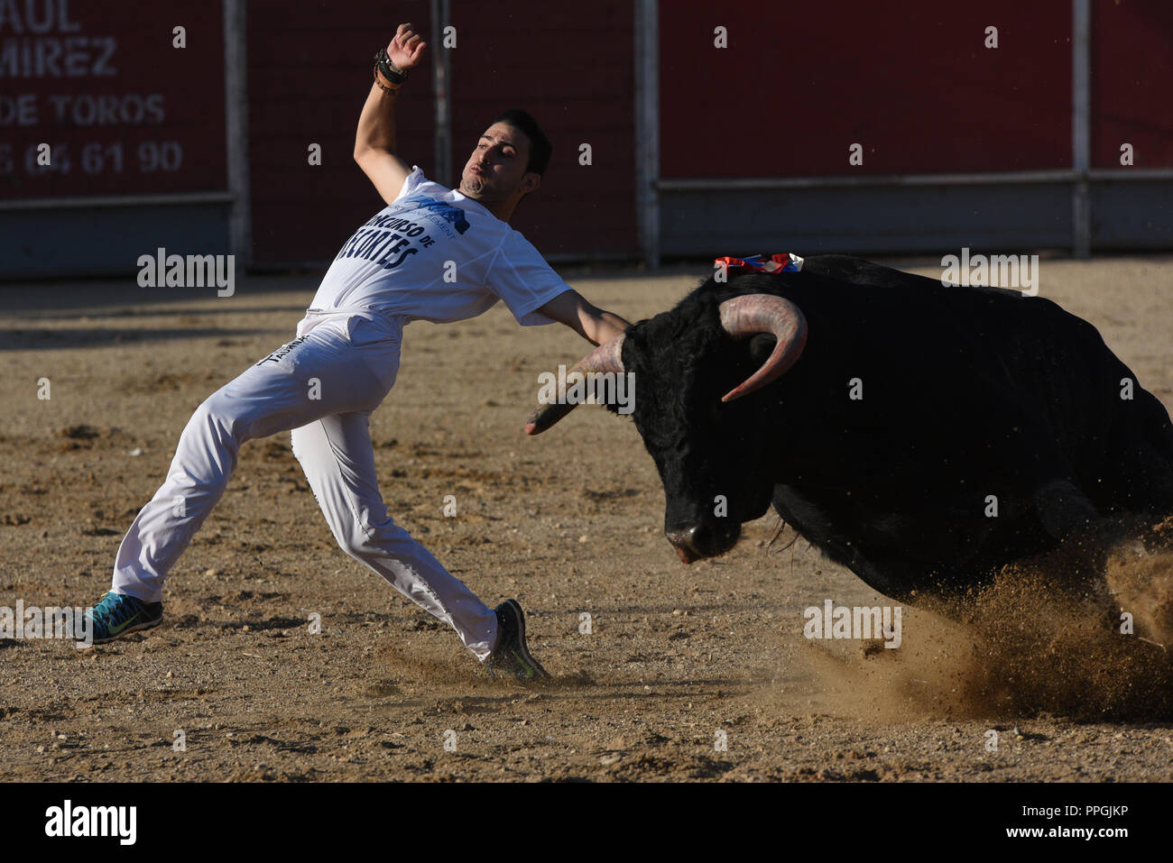 Velilla De San Antonio, Spain. 25th Sep, 2018. A "recortador" dodges a ...