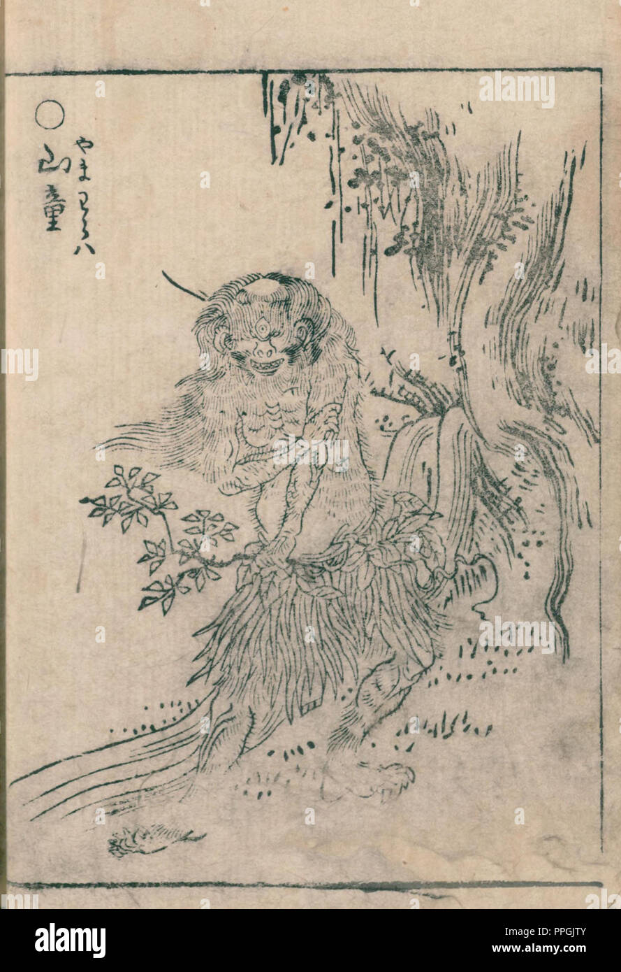 Yamawarawa, illustration from Hyakki Yagyo Shui , 1805 (Bunka 2) Edo ...