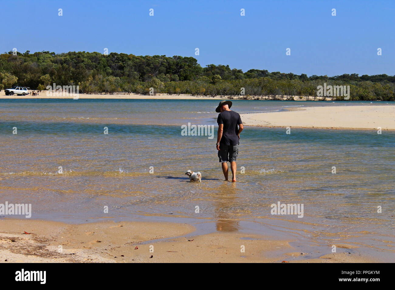 Walking the dog at the beach, Coonarr Beach Stock Photo - Alamy