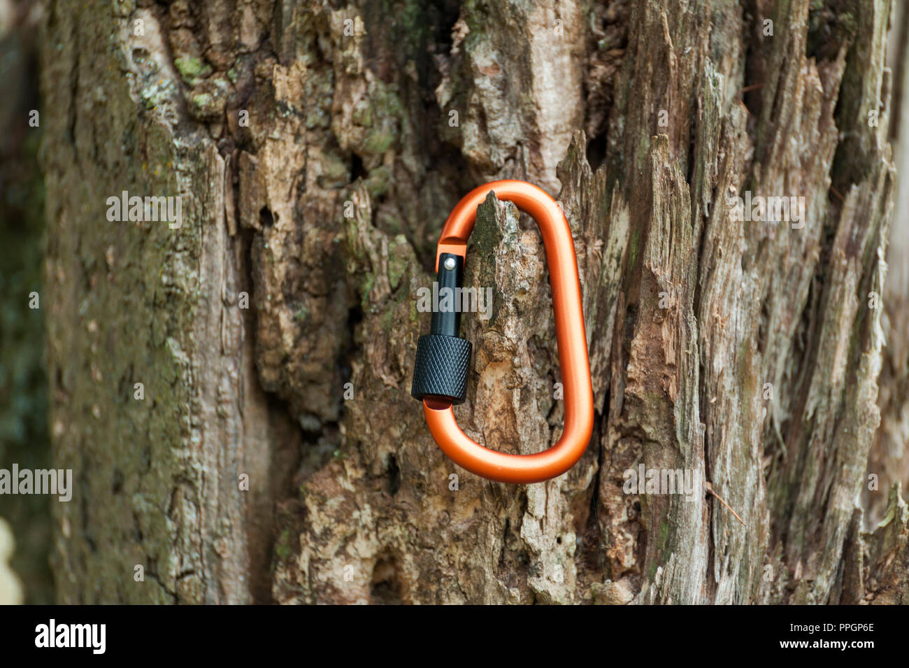 Metal carabine for mountaineering. Photo of colored carabines. Climbing ...