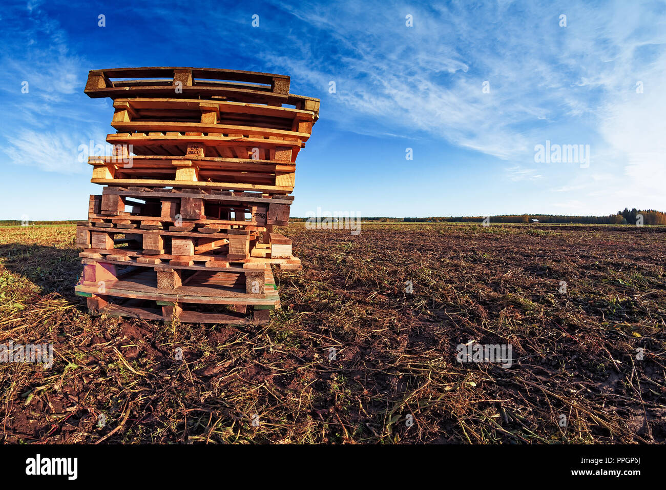 Pallets on farm hi-res stock photography and images - Alamy