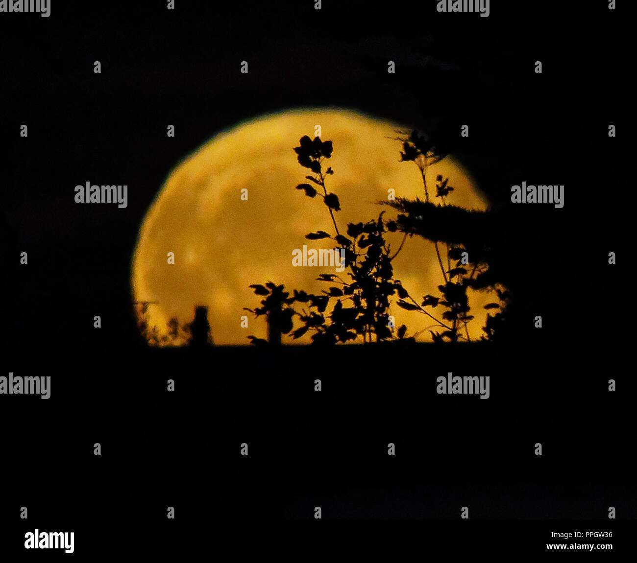 Full moon in cornwall hi-res stock photography and images - Alamy