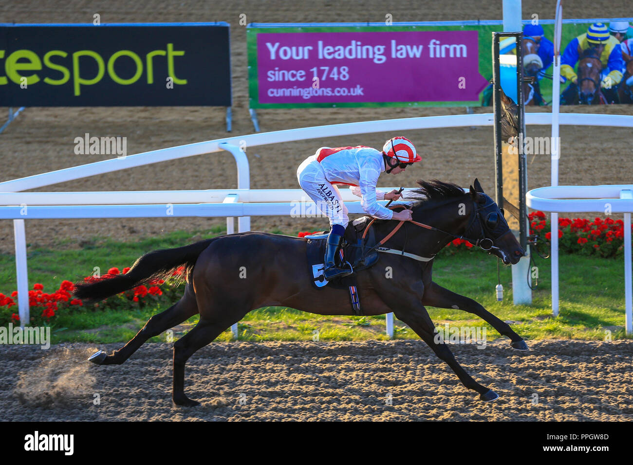 Chelmsford city races hi-res stock photography and images - Alamy