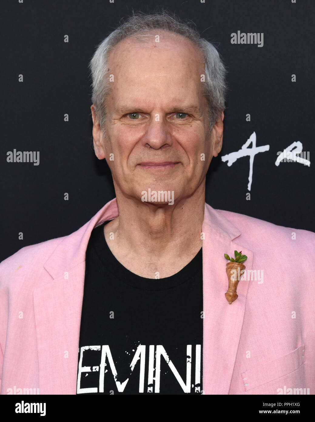 Hollywood, California, USA. 25th Sep, 2018. CHRIS ELLIS attends the ...