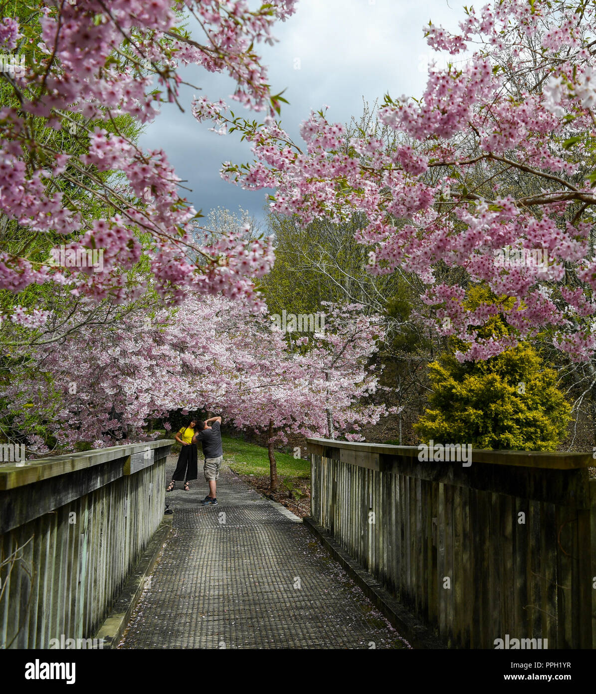 Wellington. 26th Sep, 2018. Visitors take photos at the Aston Norwood ...