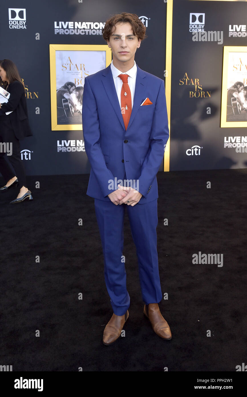 Los Angeles, California. 24th Sep, 2018. Stevie Ruffs attending the 'A ...