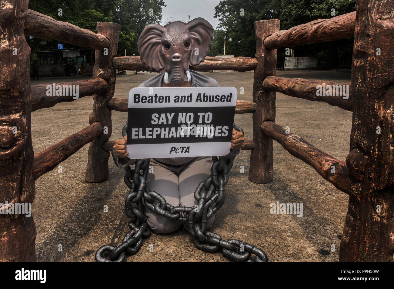 Peta protests hi-res stock photography and images - Alamy