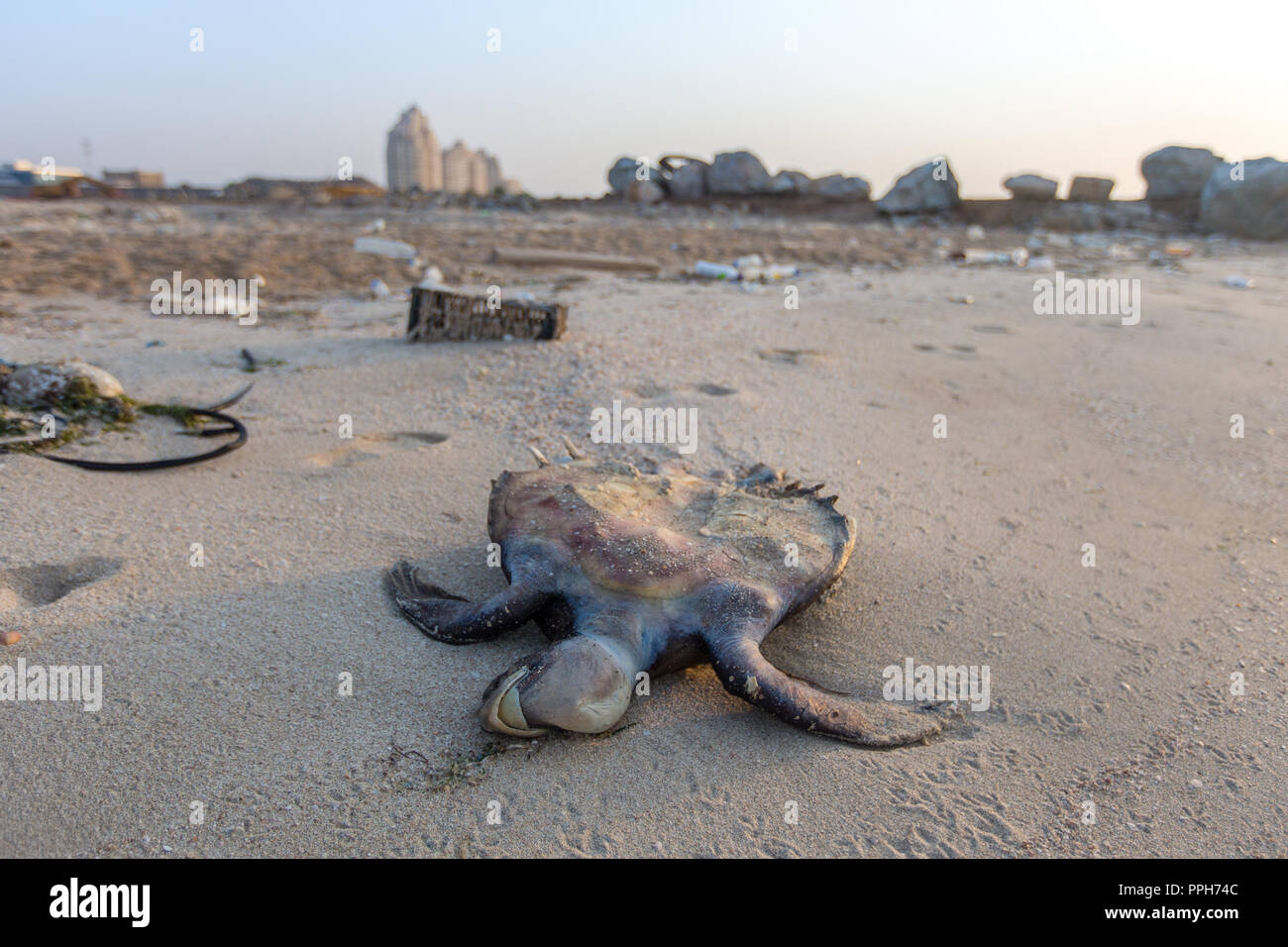 Ras Al Khaimah, Ras Al Khaimah, United Arab Emirates. 8th Sep, 2018 ...