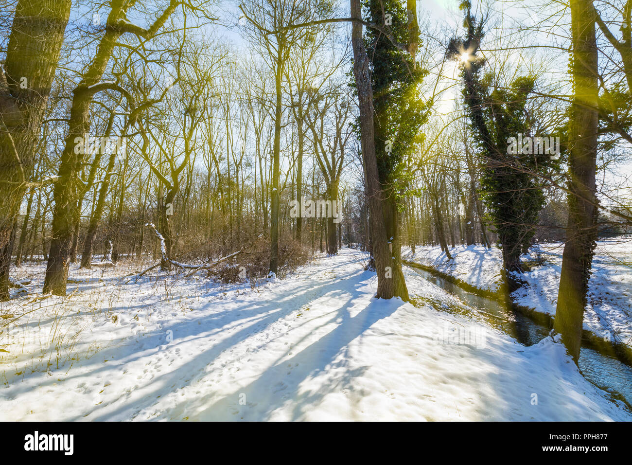 Winter season cold hi-res stock photography and images - Alamy