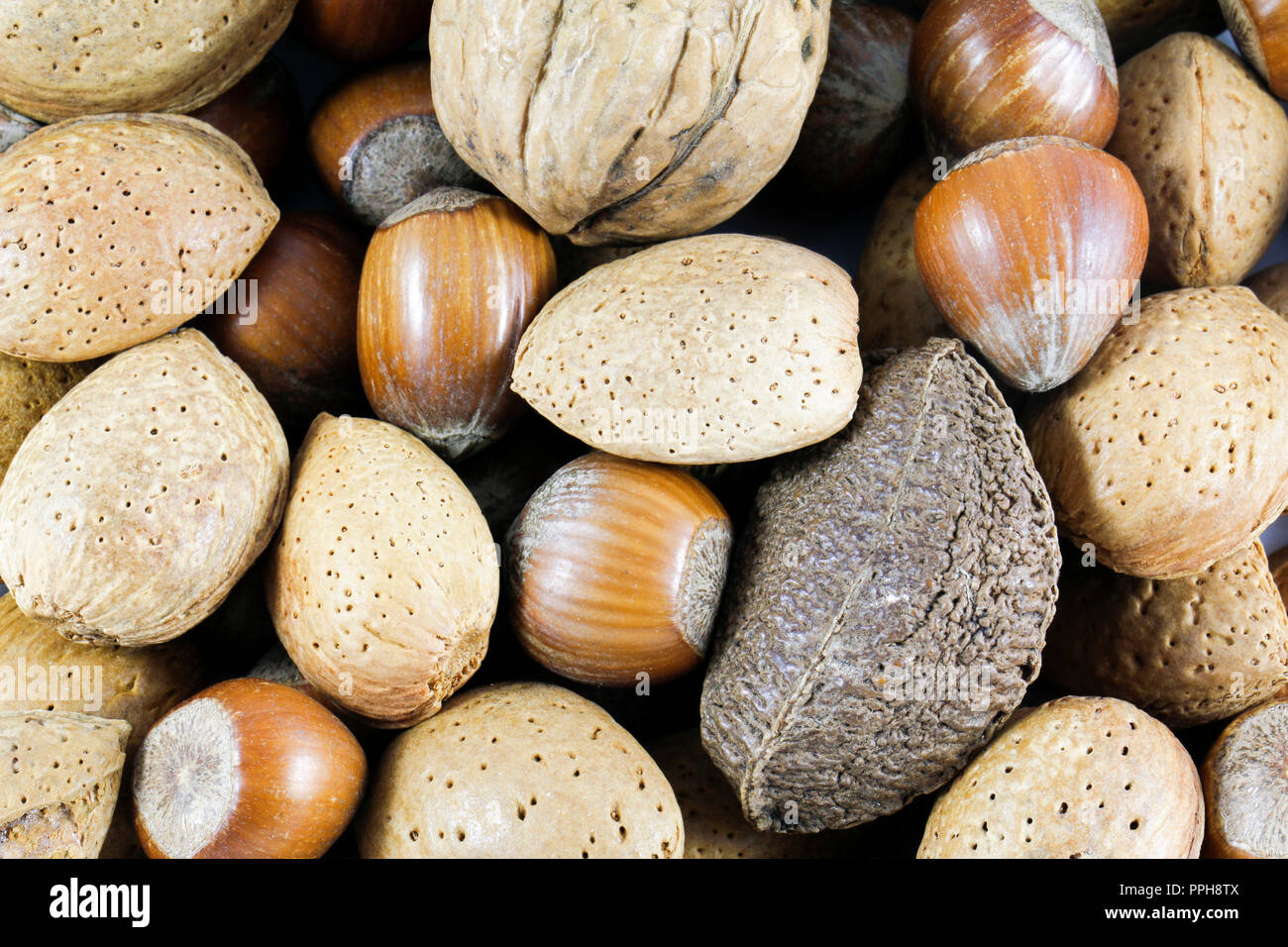 Top view of mixed nuts including walnut, hazelnuts, almonds and a ...