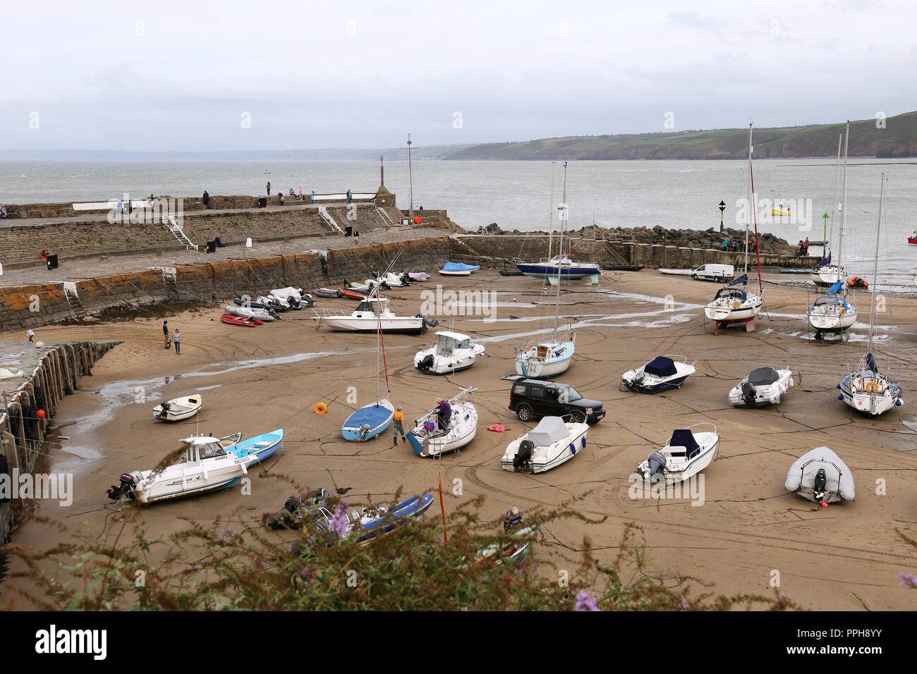 New quay, cardigan bay hi-res stock photography and images - Alamy