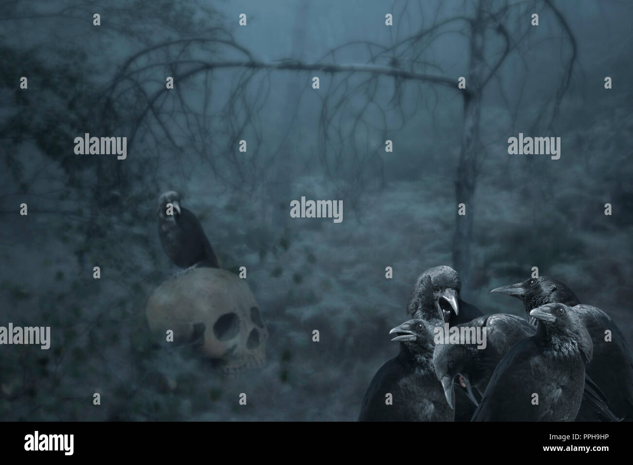 Scary crows reunion on the halloween night Stock Photo - Alamy