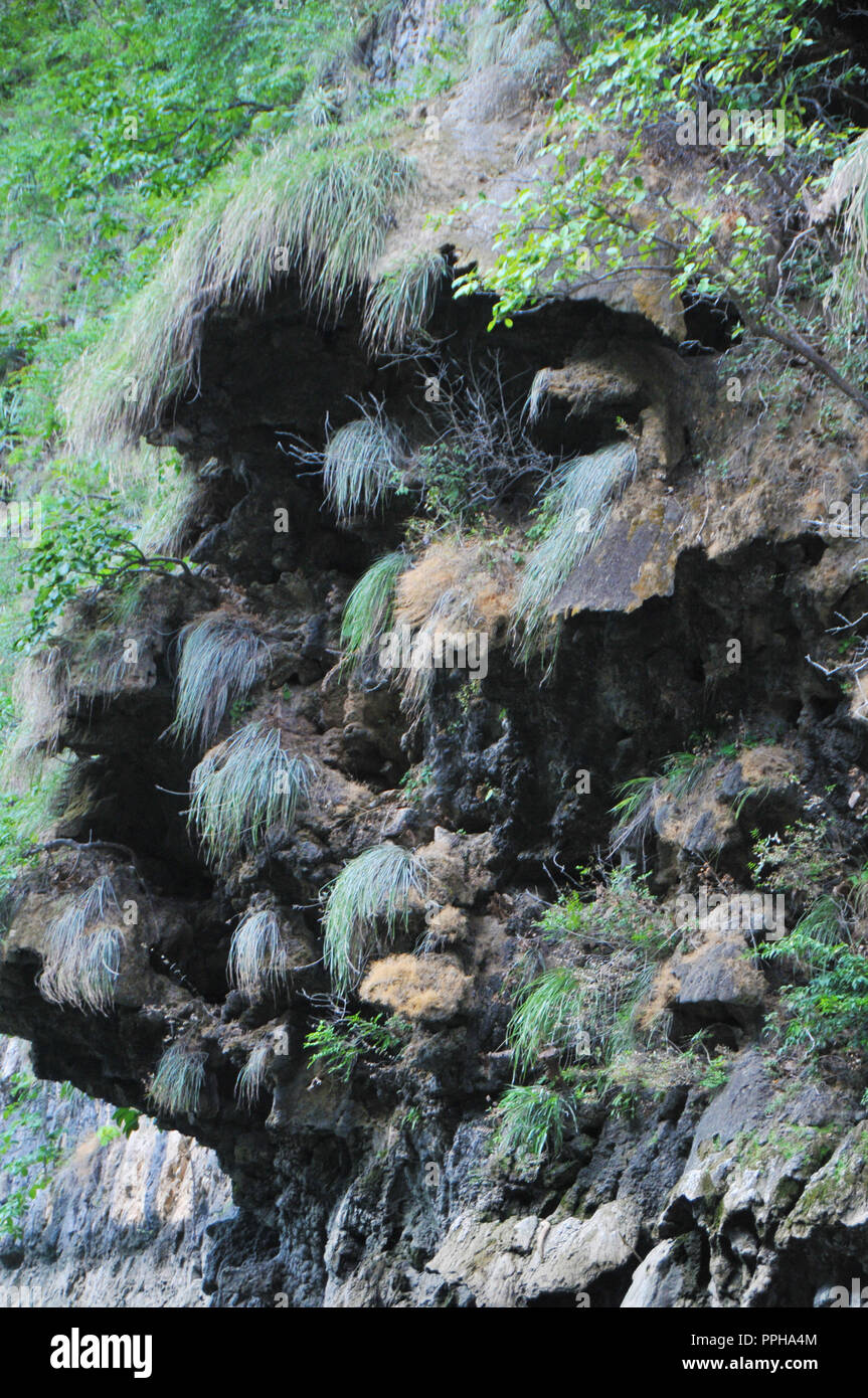Río mezcalapa hi-res stock photography and images - Alamy
