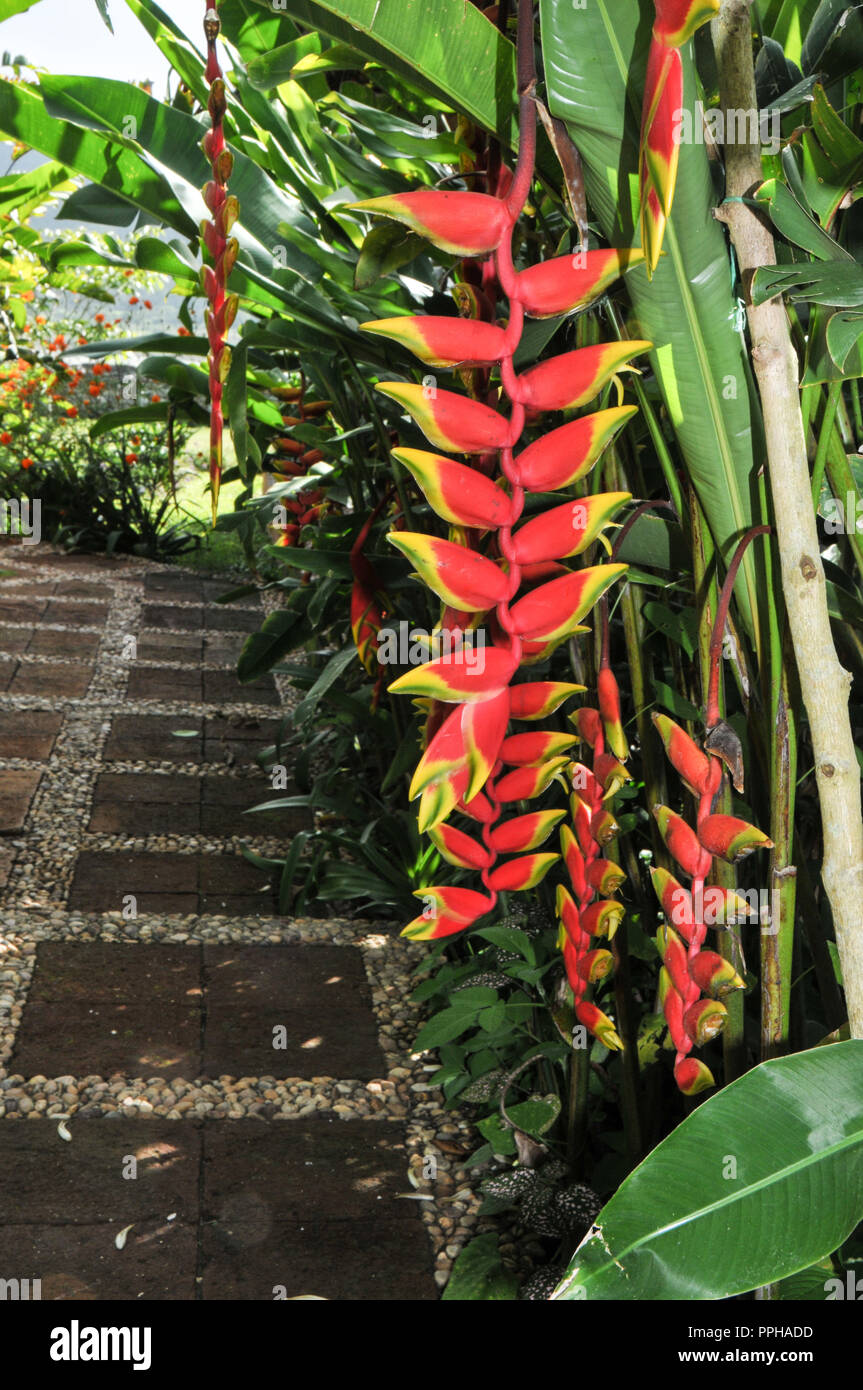 Chiapas, Mexico landscapes and still life Stock Photo - Alamy