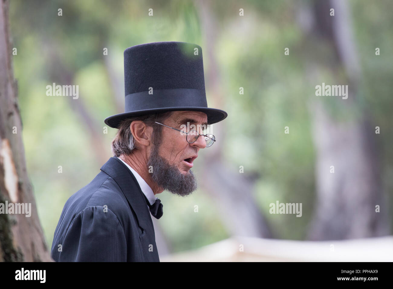 Abraham Lincoln Hat And Beard