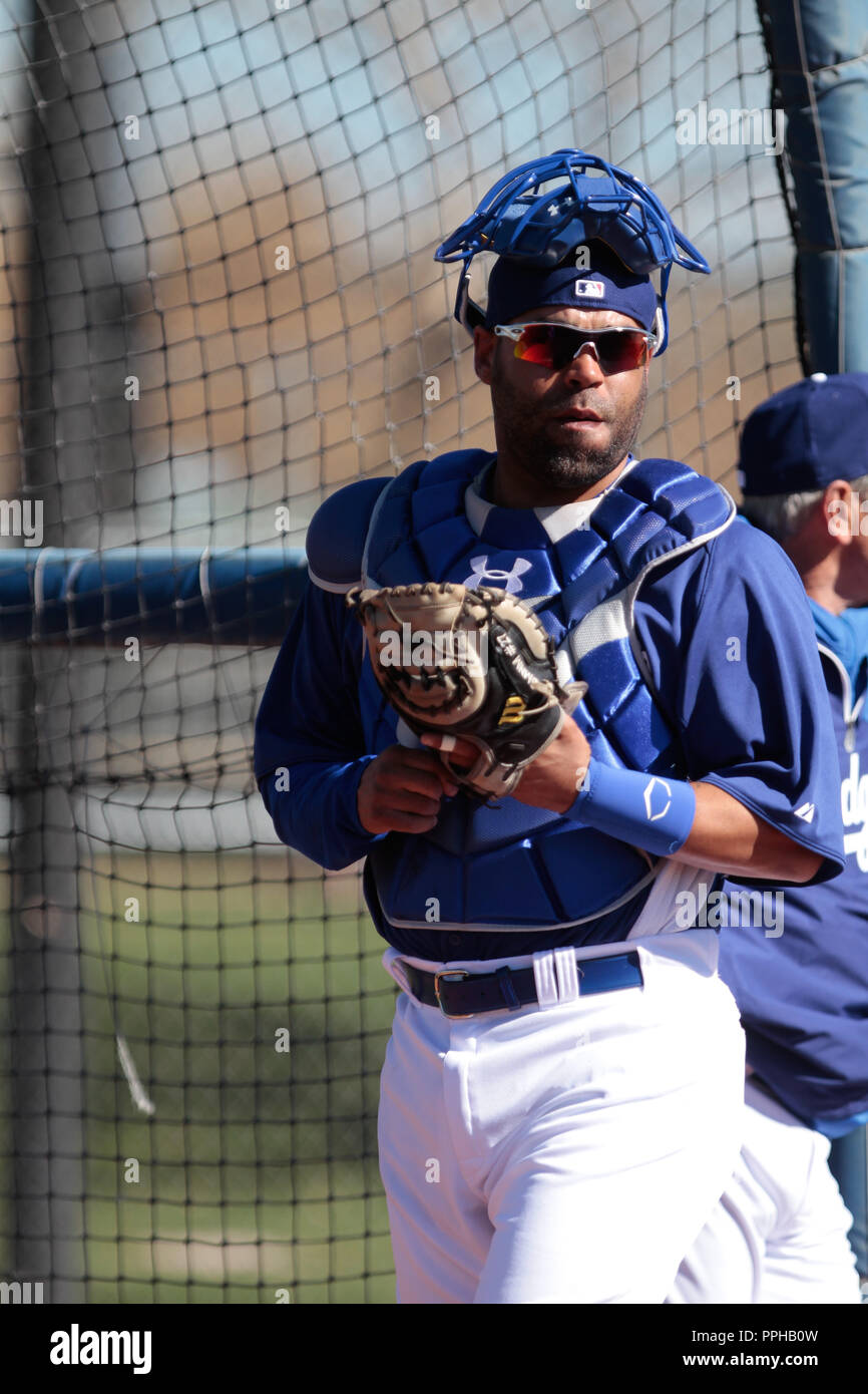 Ramon Castro of Los Angeles Dodgers,during Spring Trainig 2013 ...