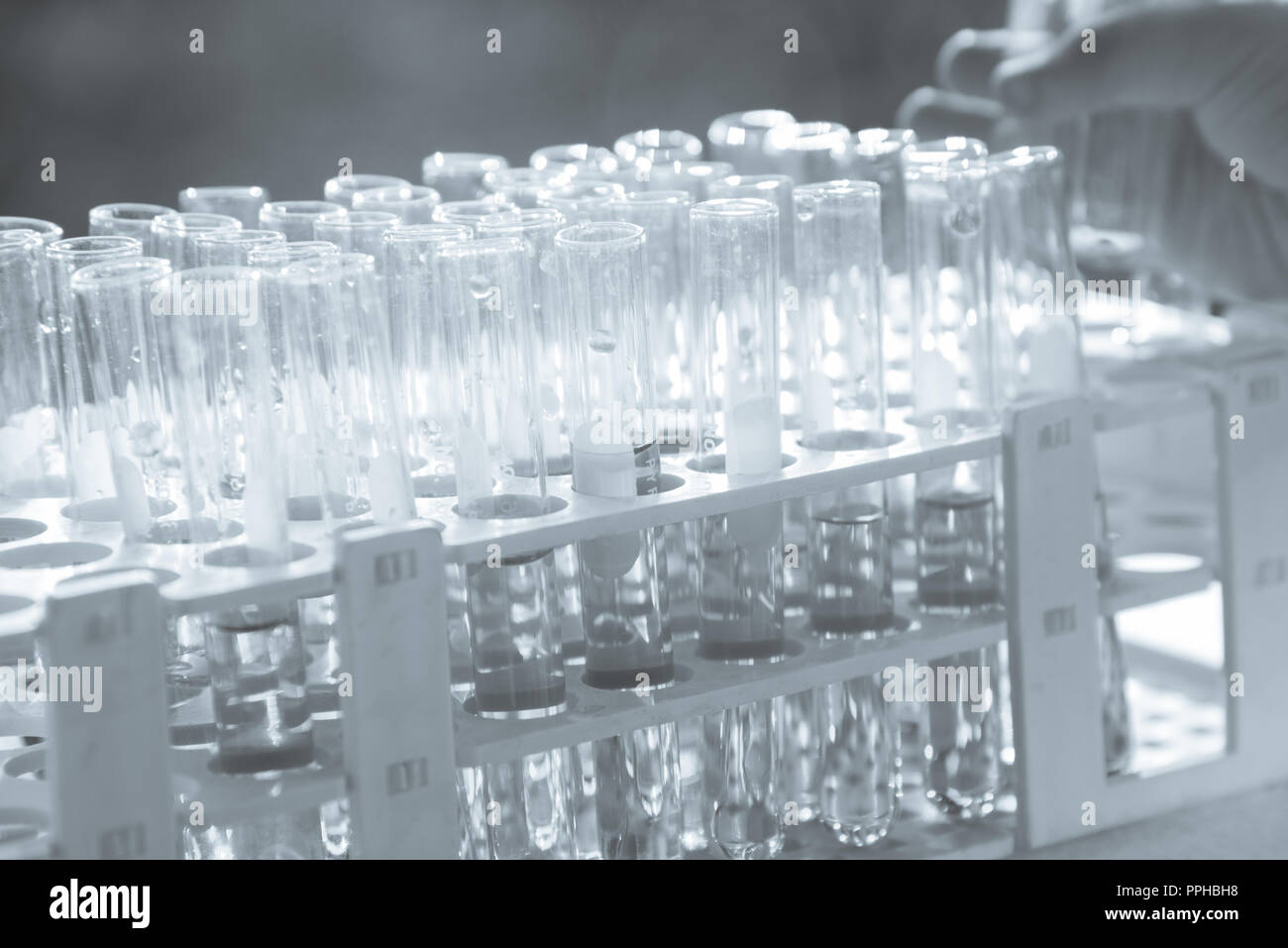 Lab science research glass items adding drop to one of several test ...