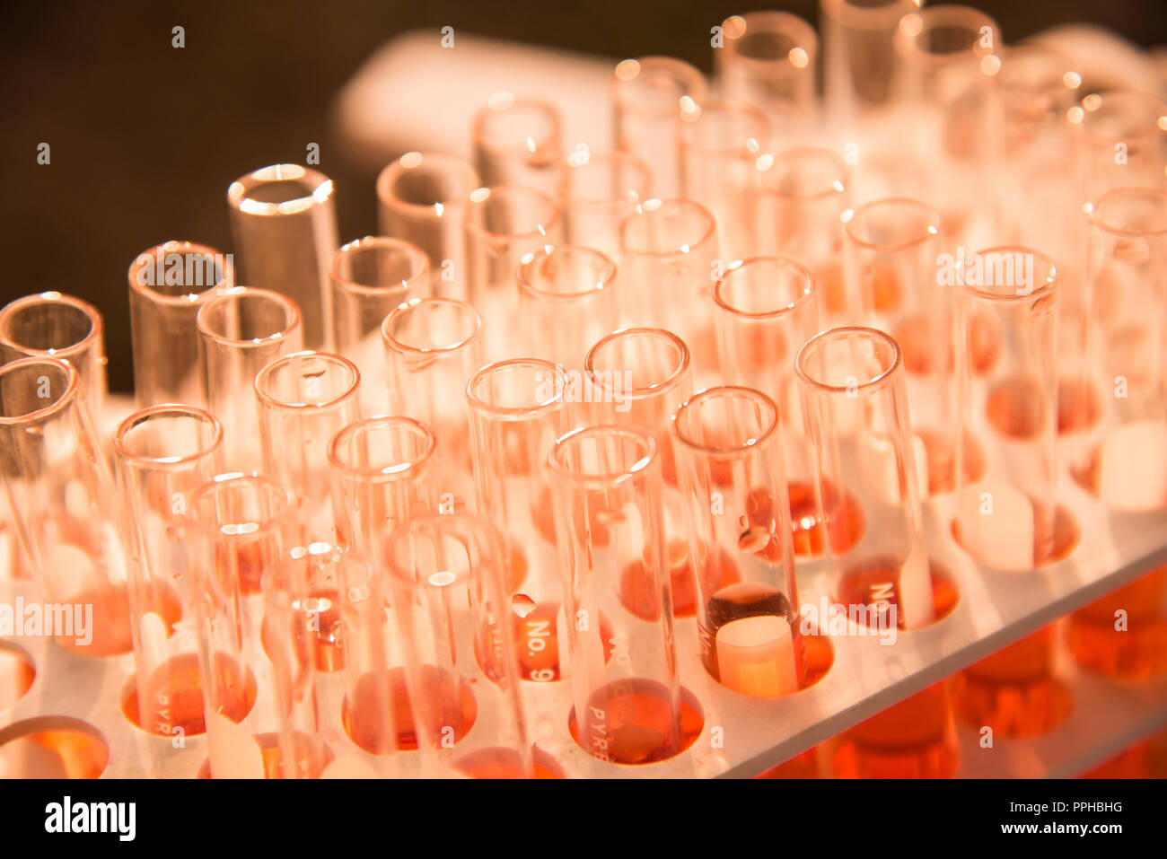 Lab science research glass items adding drop to one of several test ...