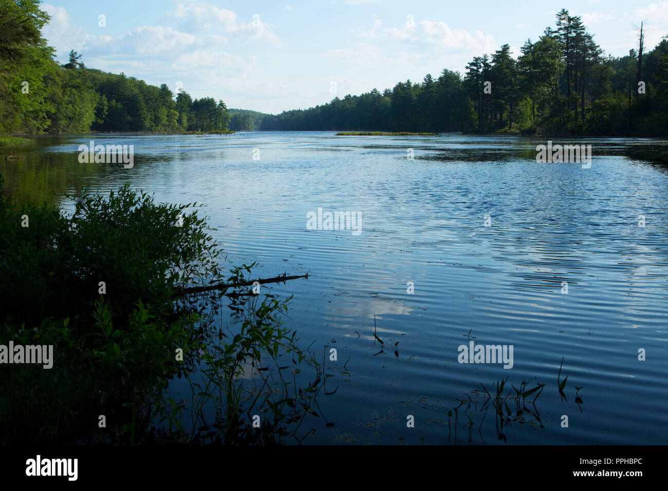 Breakneck Pond along Nipmuck Trail, Nipmuck State Forest, Connecticut ...