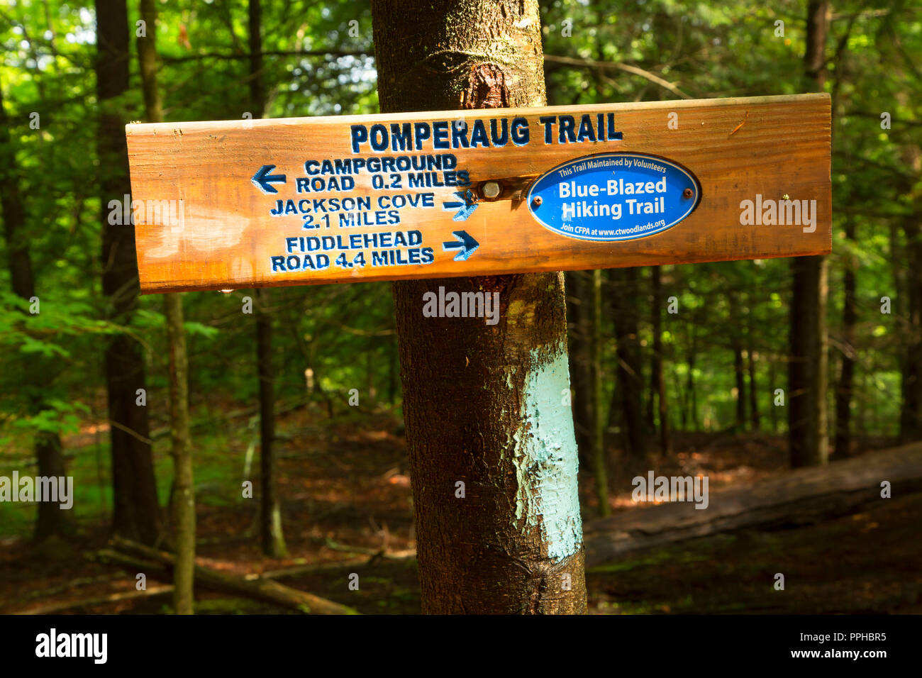 Pomperaug Trail sign, Kettletown State Park, Connecticut Stock Photo ...