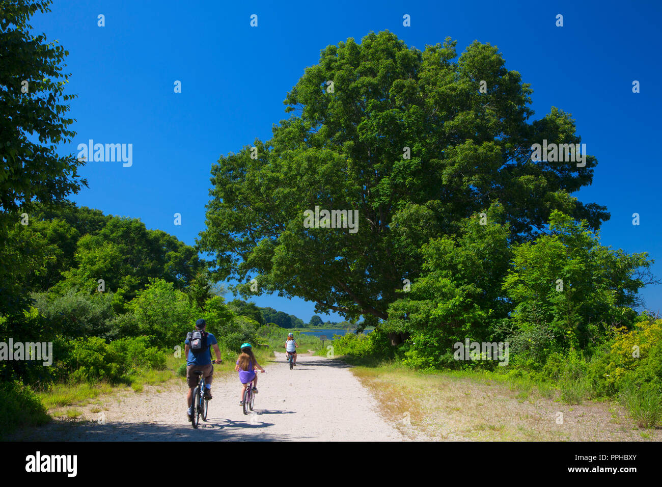Brushy trail hi-res stock photography and images - Alamy