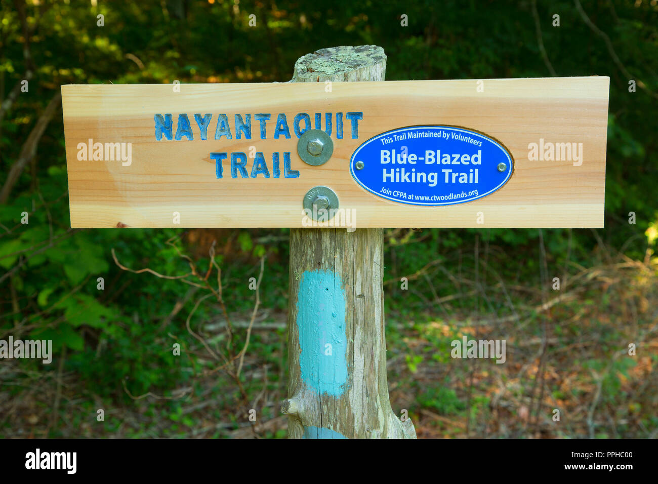 Nayantaquit Trail sign, Nehantic State Forest, Connecticut Stock Photo ...
