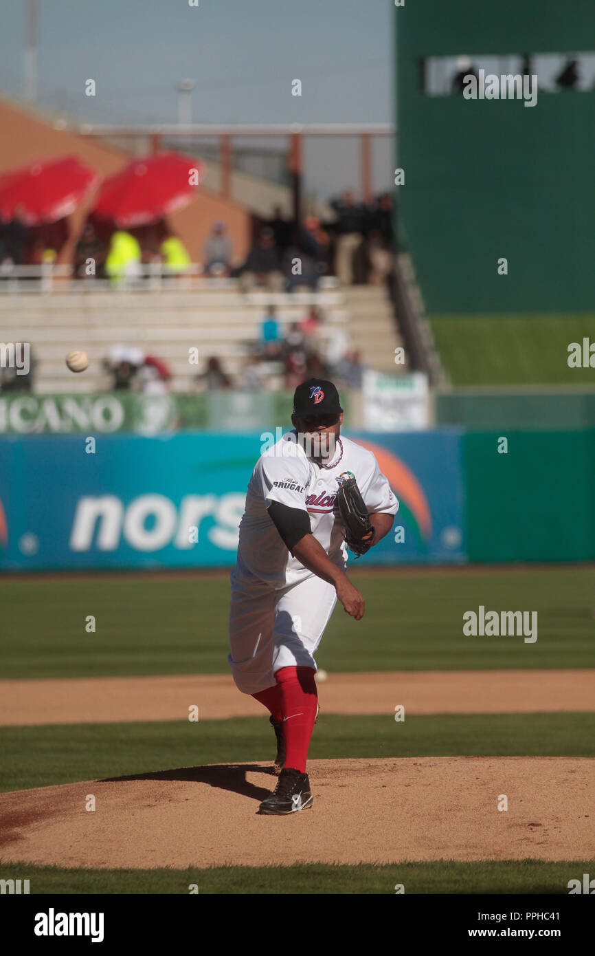 Angel Castro pitcher de Republica Dominicana.durante el juego de la ...