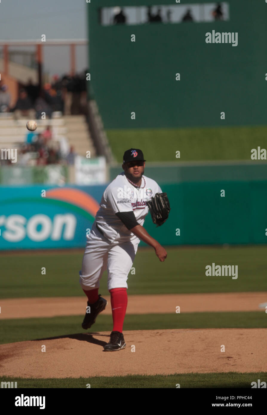 Angel Castro pitcher de Republica Dominicana.durante el juego de la ...
