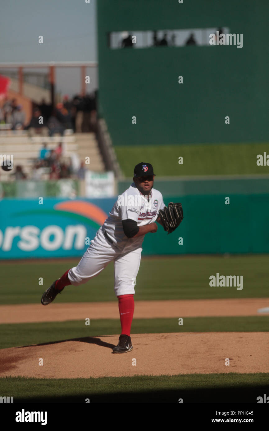 Angel Castro pitcher de Republica Dominicana.durante el juego de la ...