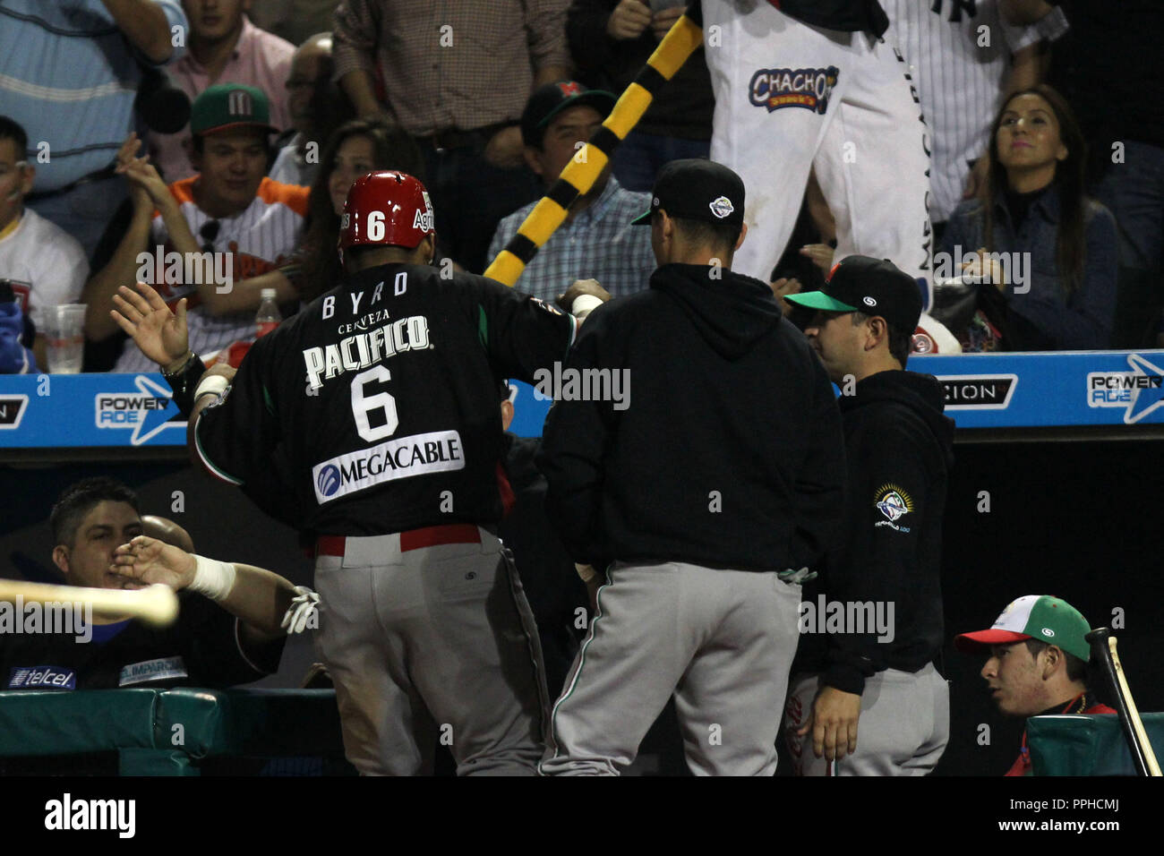 HERMOSILLO, Son. February 2, 2013. during the game of the Caribbean ...