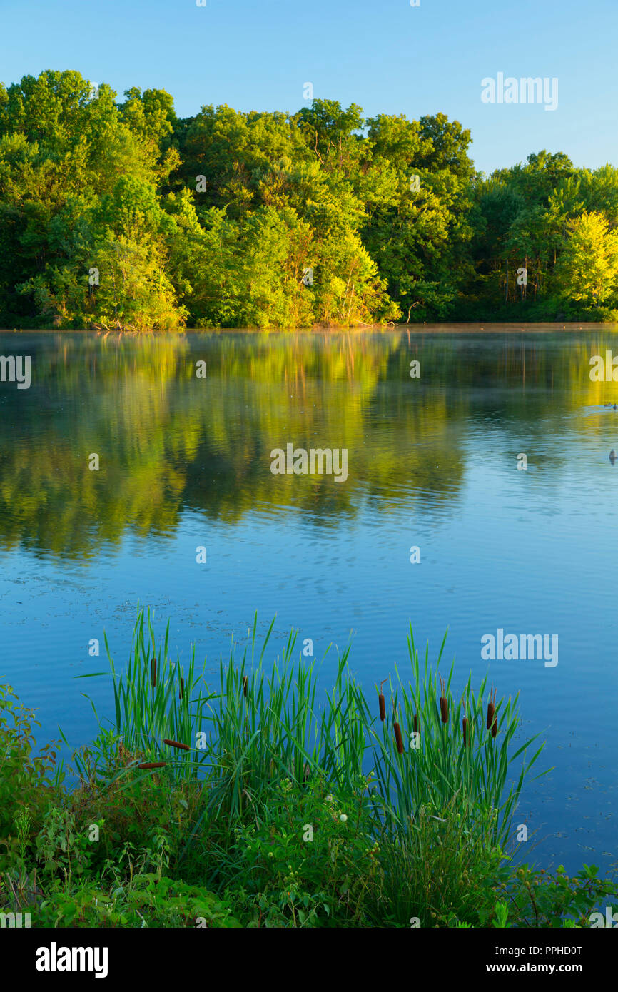 Batterson park pond hi-res stock photography and images - Alamy