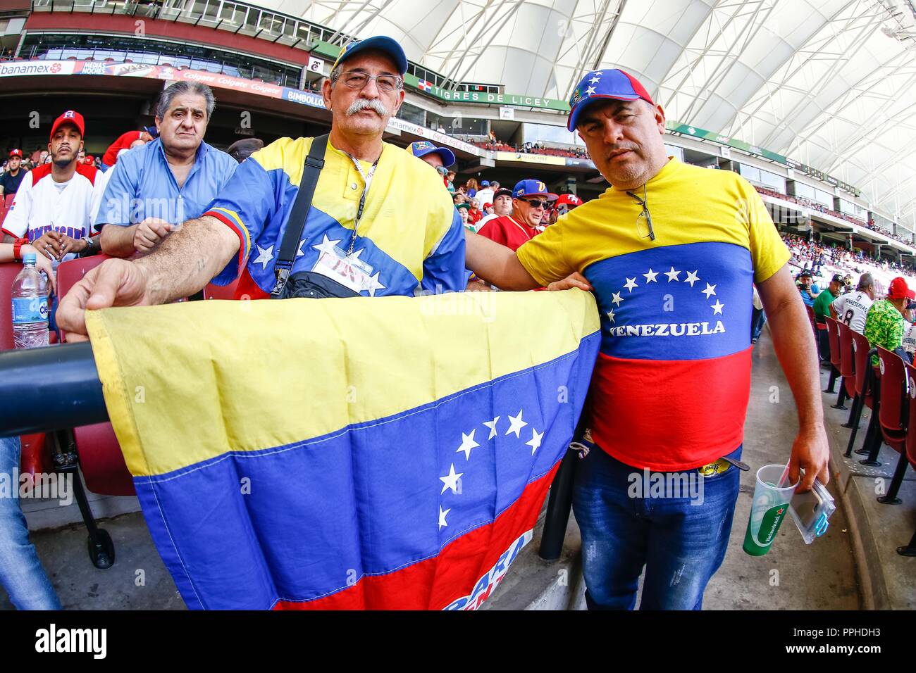 Aficionados de Venezuela y Puerto Rico , durante el partido de beisbol ...