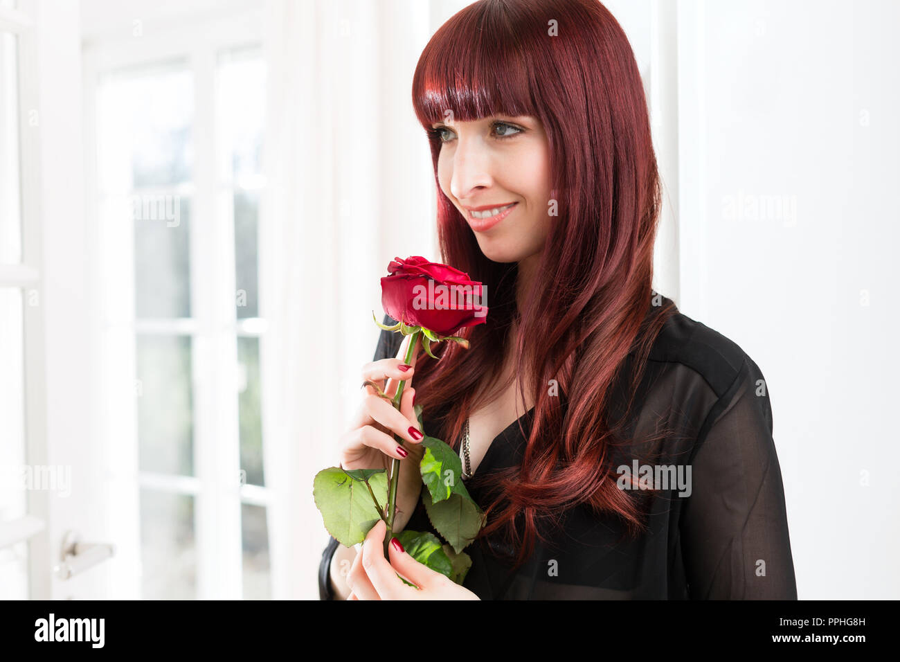 Stylish red rose hi-res stock photography and images - Alamy