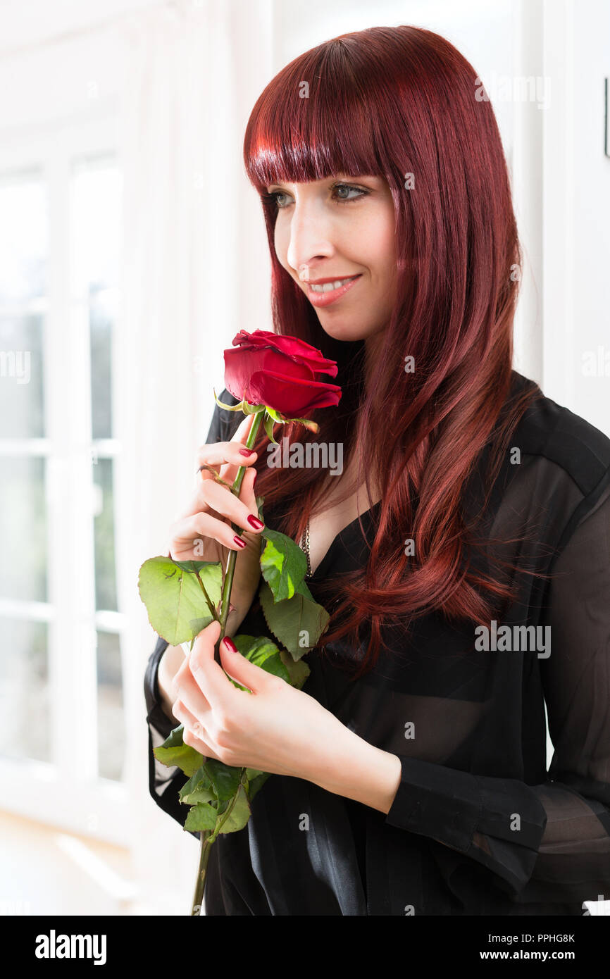 Stylish red rose hi-res stock photography and images - Alamy