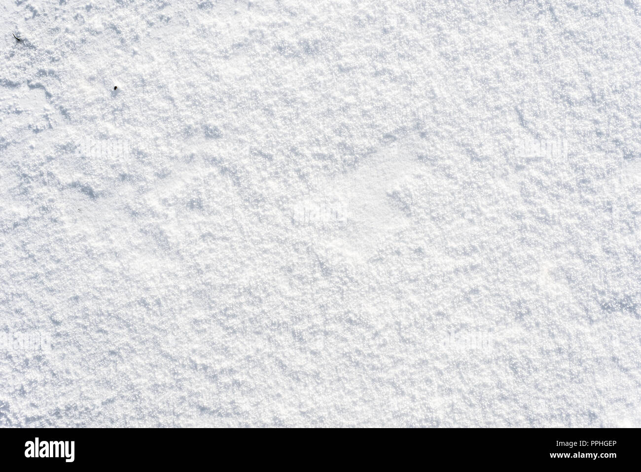 Clean snow texture, winter background, white surface with snowflakes ...