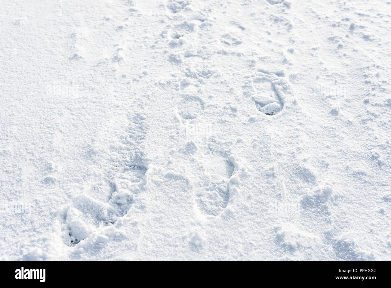 Footprints in snow, clean winter background for design Stock Photo - Alamy