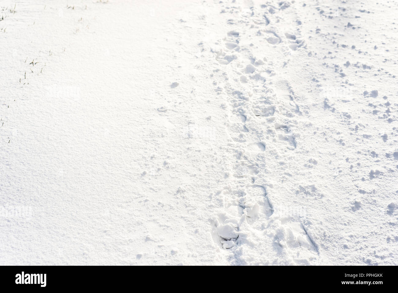 Snowbound footprints hi-res stock photography and images - Alamy