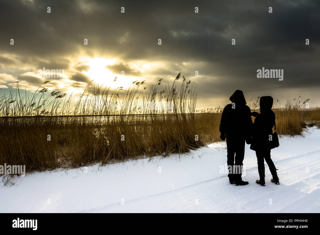 Best friends or couple in valentine's day, romantic landscape in winter ...