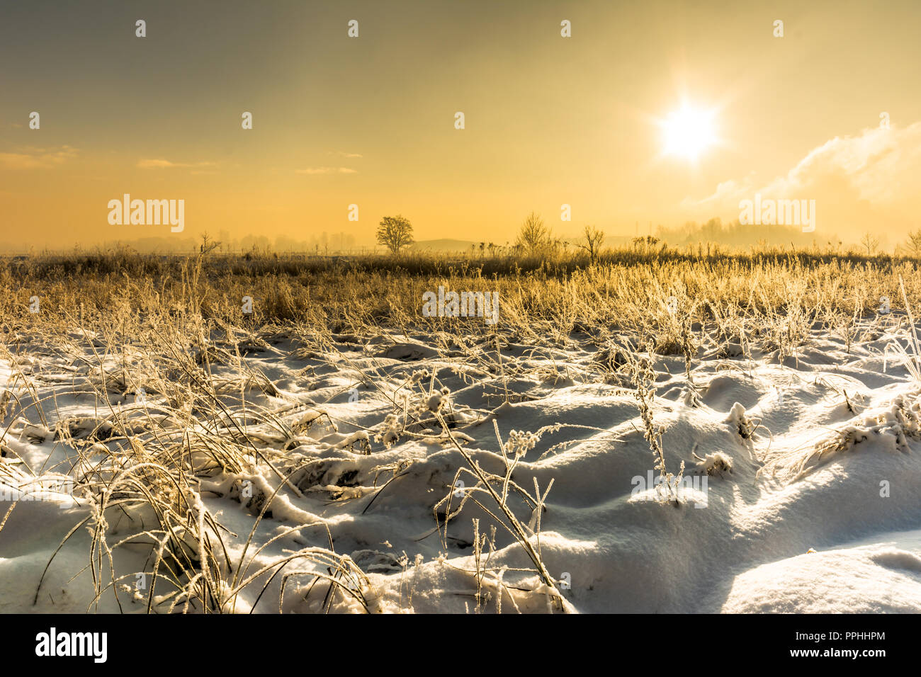 Frost on field hi-res stock photography and images - Alamy