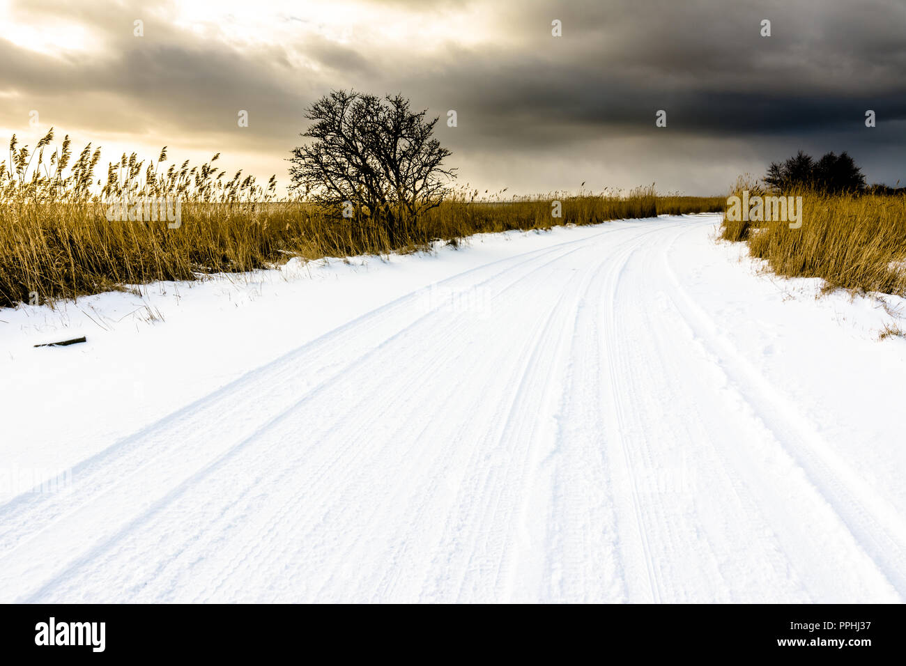 Snow on road, winter landscape with moody sky before sunset over lake ...