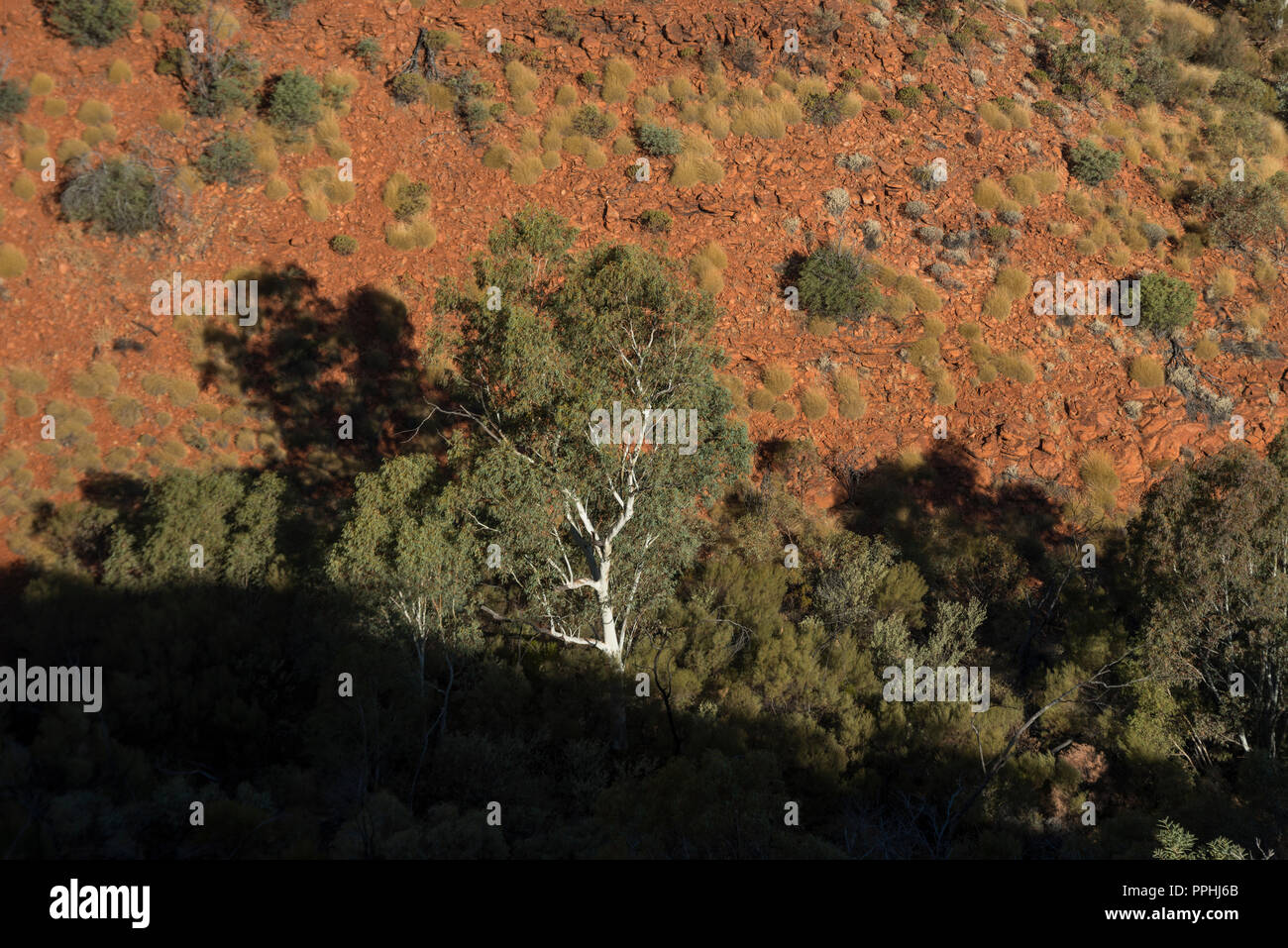 Kings Canyon, Watarrka National Park, Nothern Territory Australia Stock ...