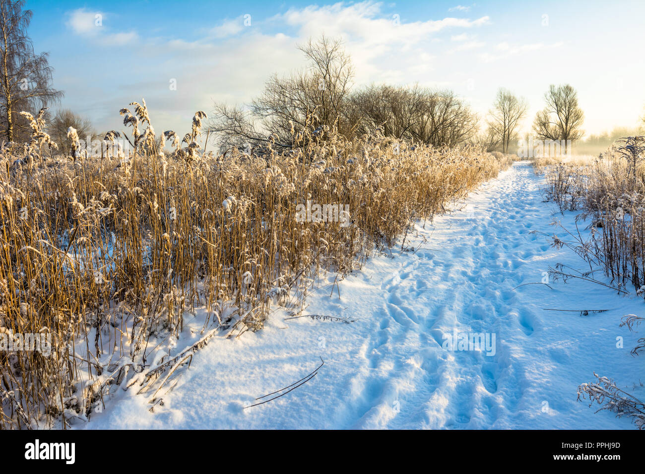 Path of ice through grass hi-res stock photography and images - Alamy