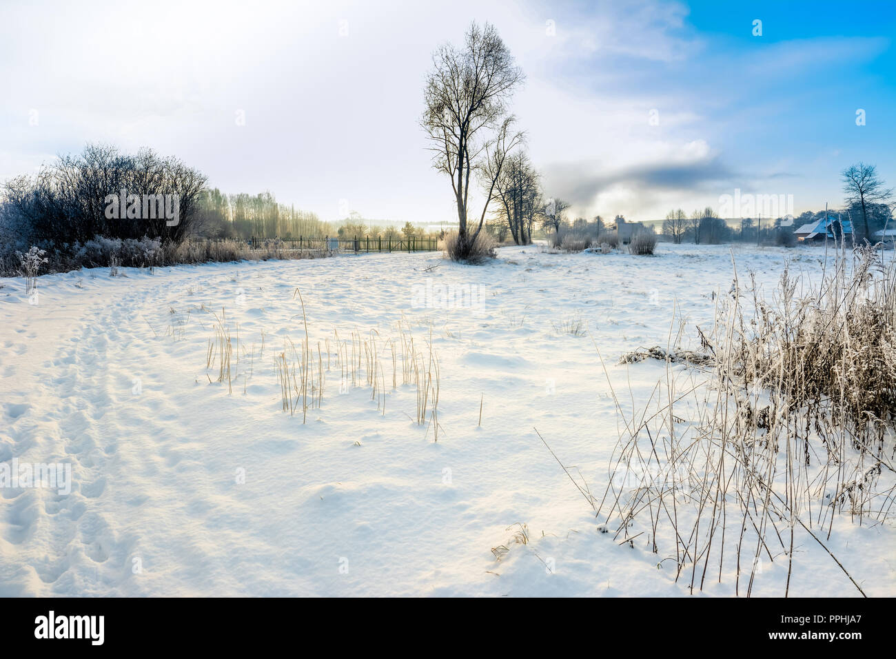 Snow on fields, snowy winter landscape Stock Photo - Alamy