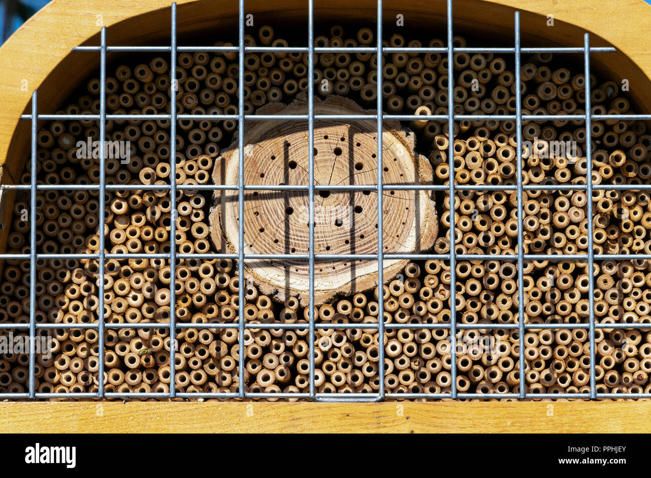 Enclosed in a cage hi-res stock photography and images - Alamy