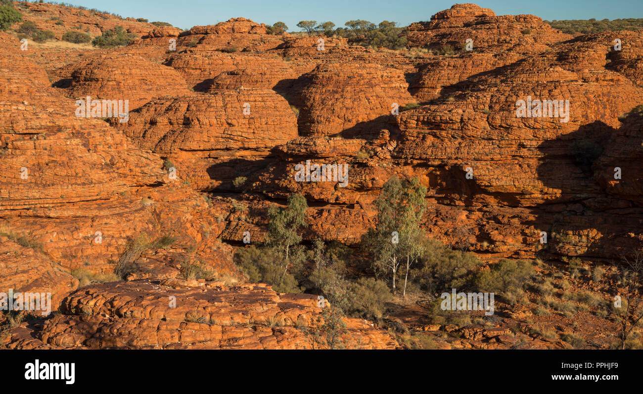 Kings Canyon, Watarrka National Park, Nothern Territory Australia Stock ...