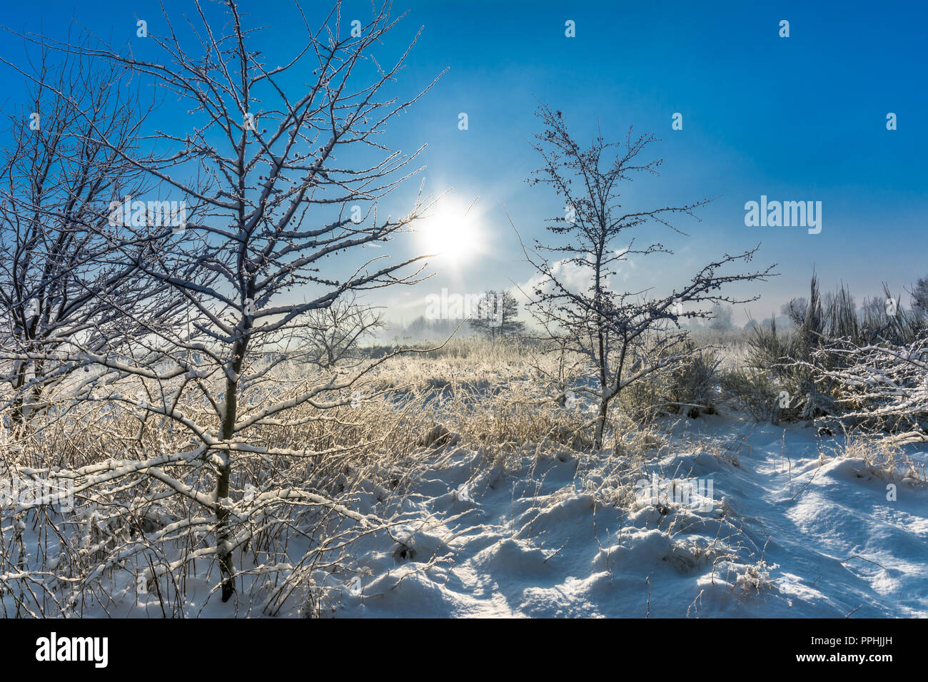 Magical winter landscape with snow in countryside, sun and blue sky ...